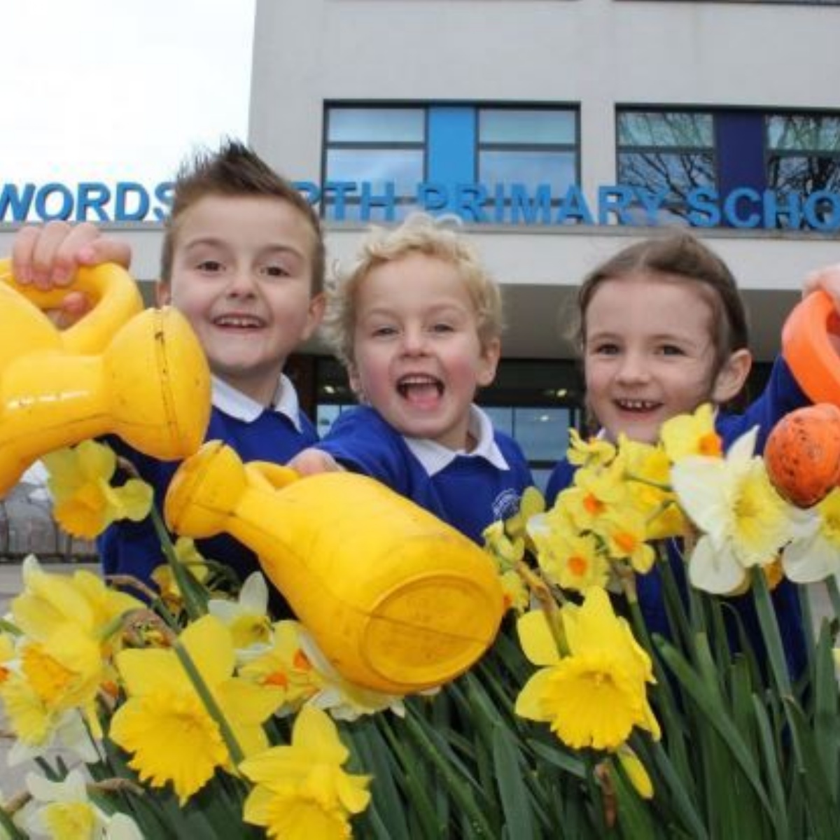 WORDSWORTH PRIMARY SCHOOL - Item Not Available